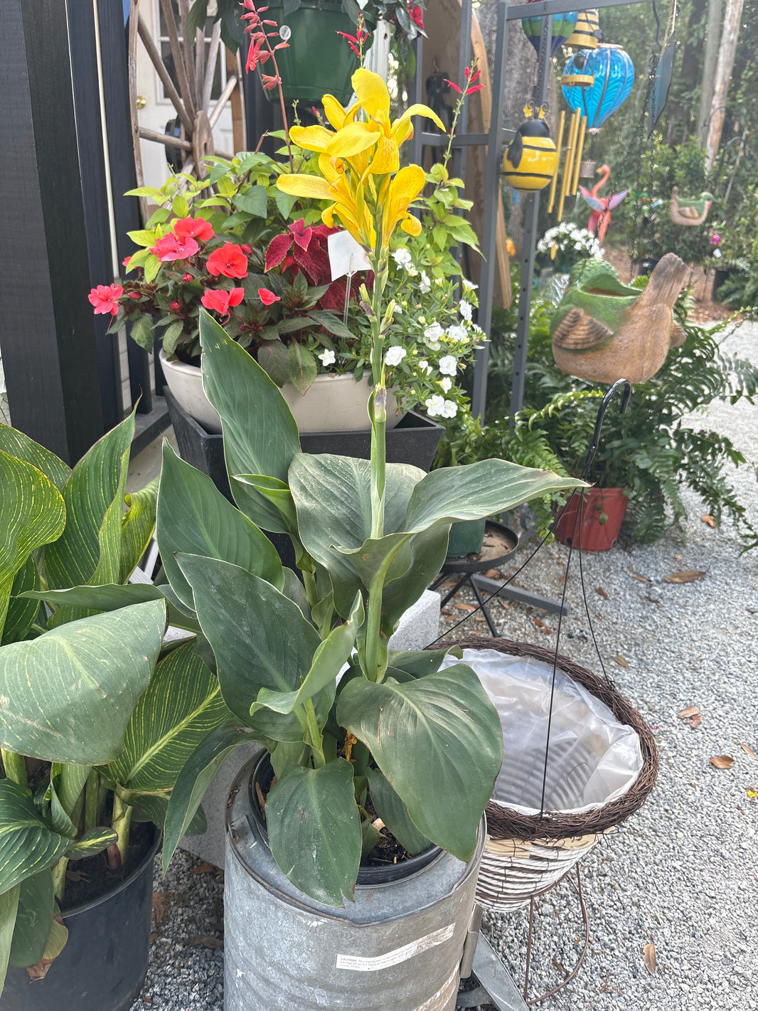 Wright's Market ~ Southern Elegance in Plants, Fashion, and Gifts