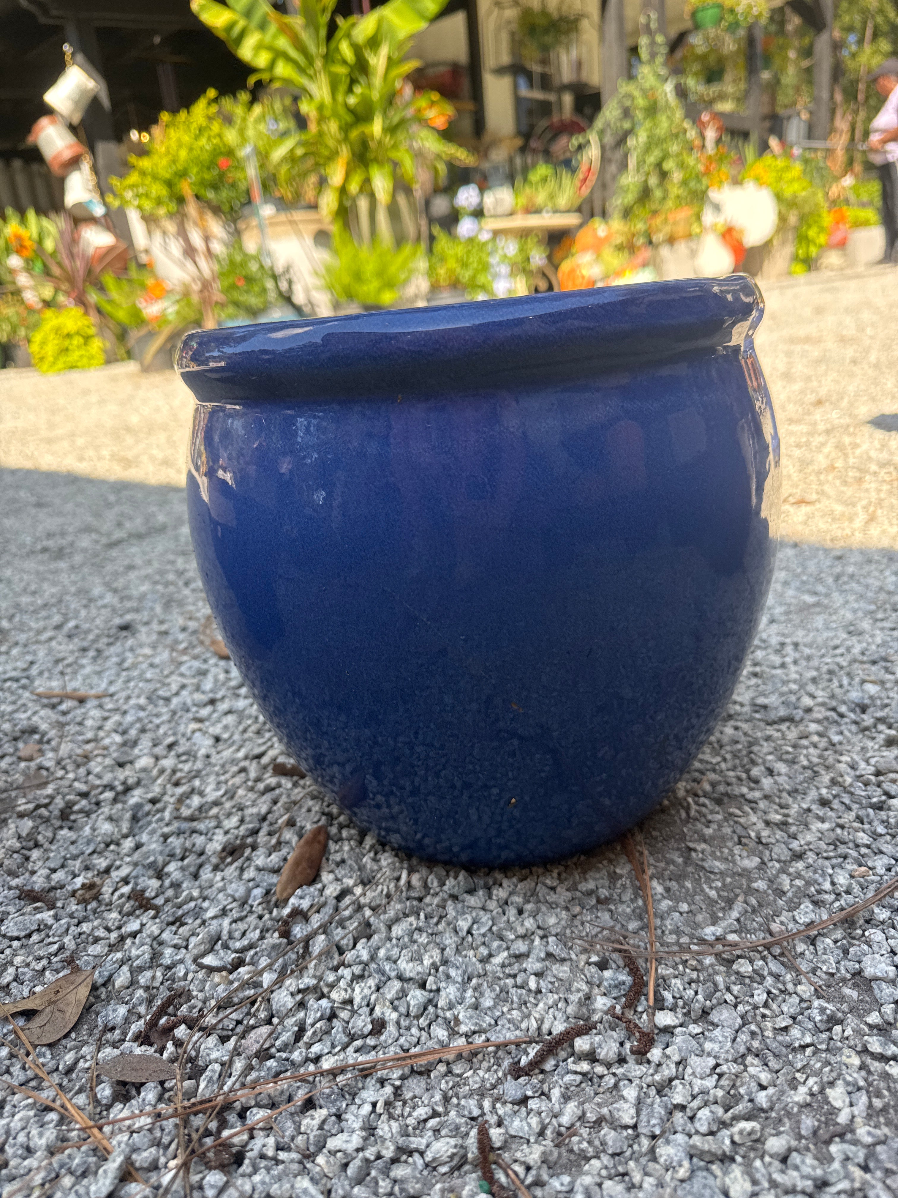 MCarr 10.2” Belly Planter Light Blue – Wright's Market