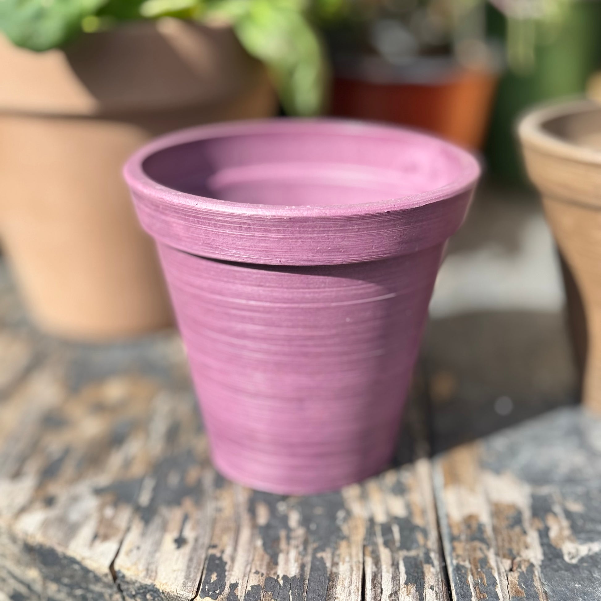Algreen Valencia Round Band Pot – 4.25" D x 4" H Decorative Indoor & O ...